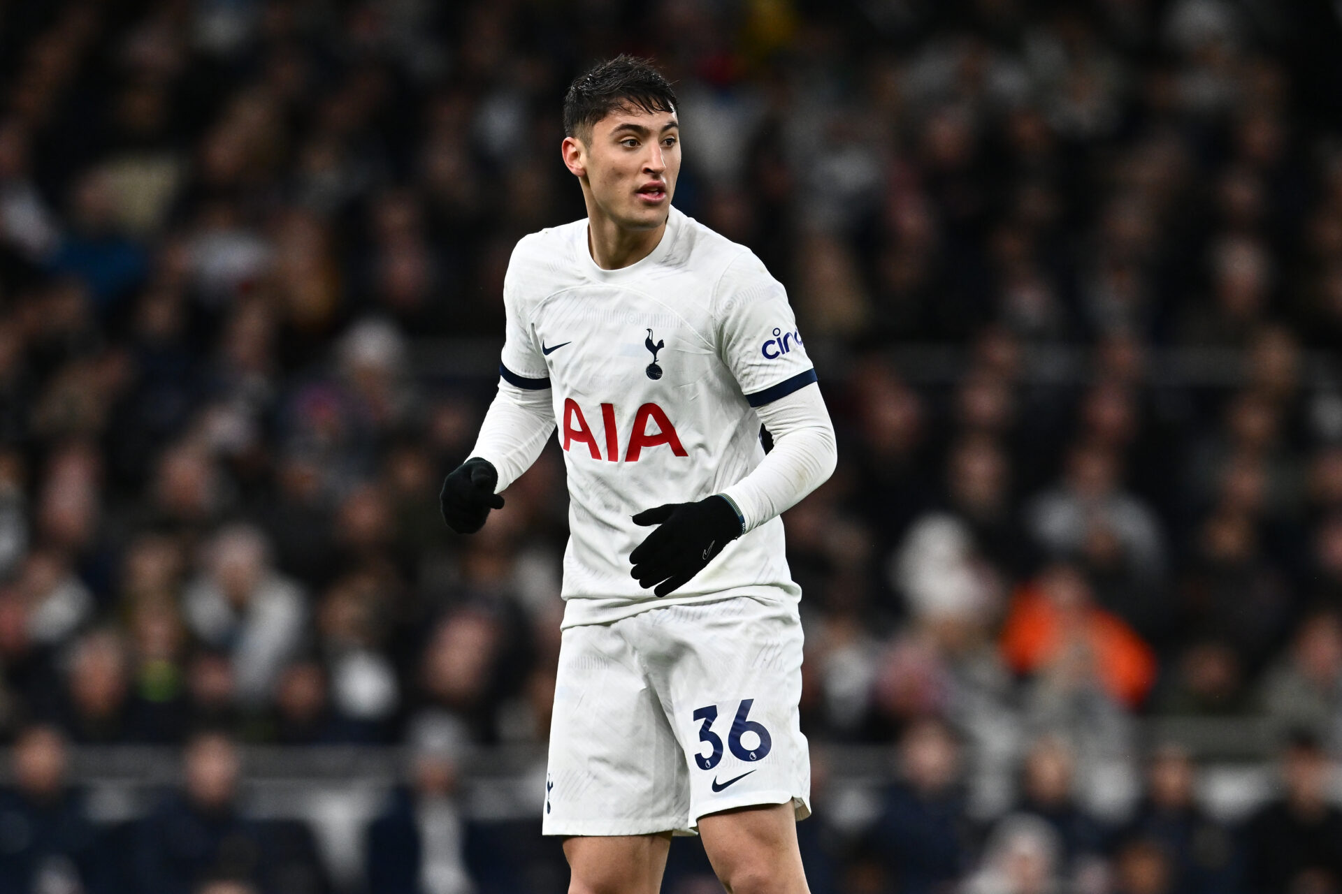 Alejo Veliz reveals Tottenham teammate influenced his January transfer ...