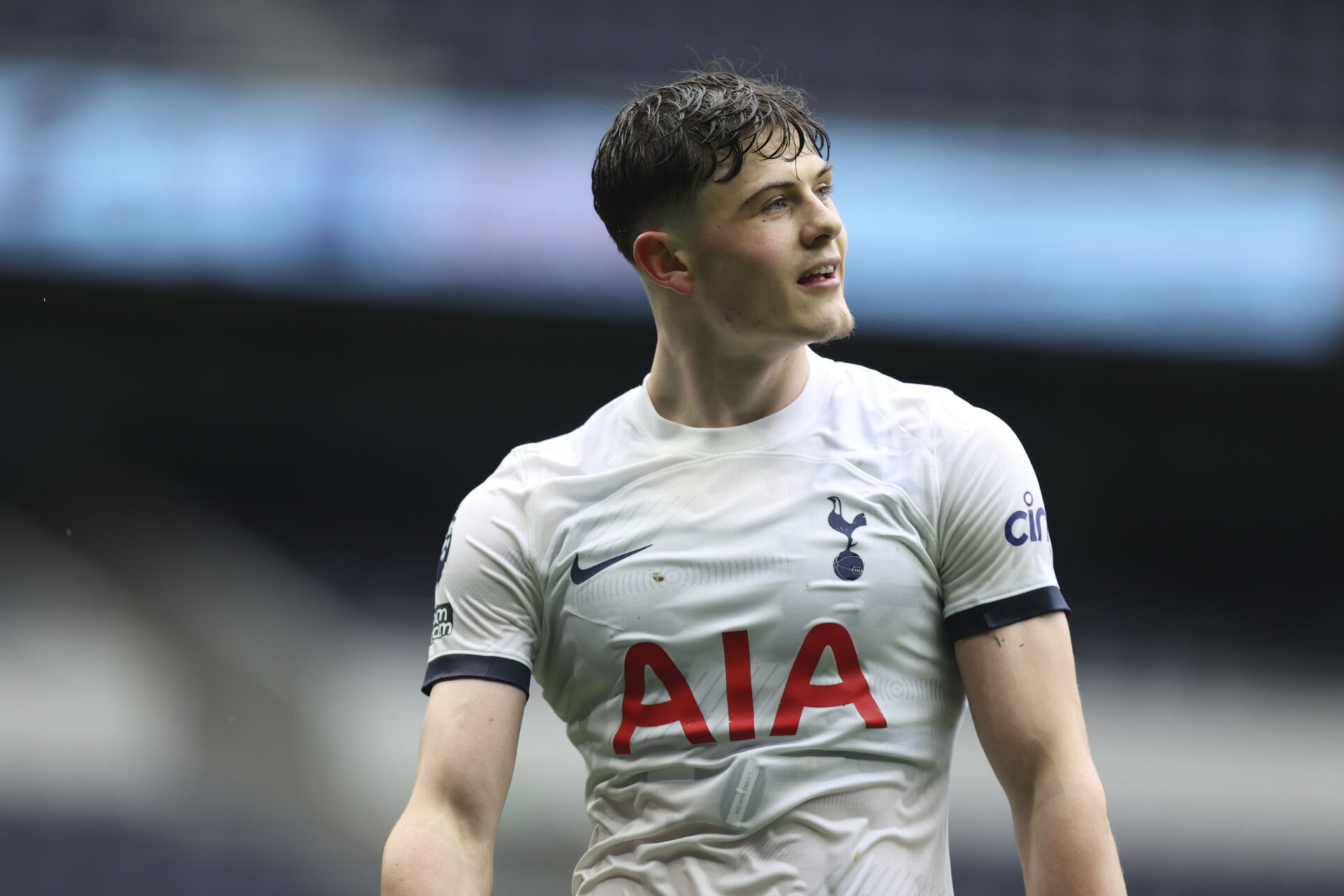 'Rewarding him' - Postecoglou comments on Will Lankshear's progression ...