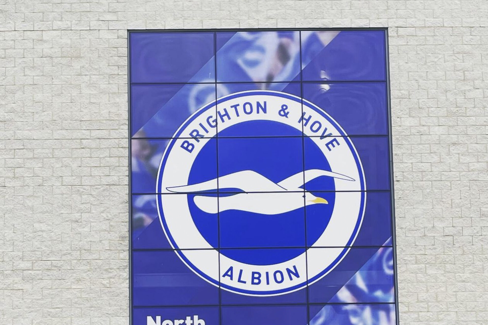 Tottenham star admits Brighton defeat made him feel 'ill' - 'We are ...