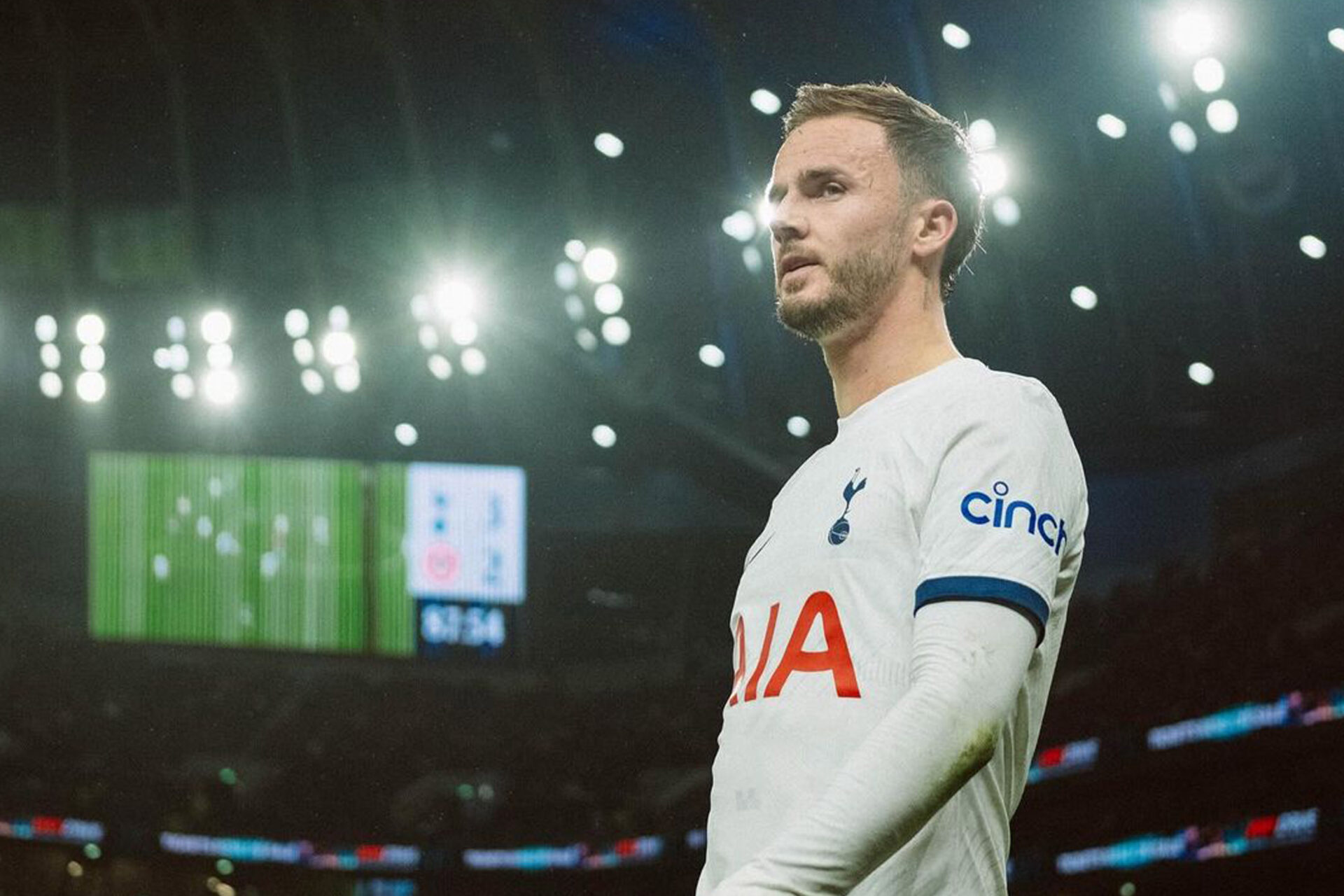 James Maddison has good news for Spurs fans ahead of Sheffield United match - Spurs Web