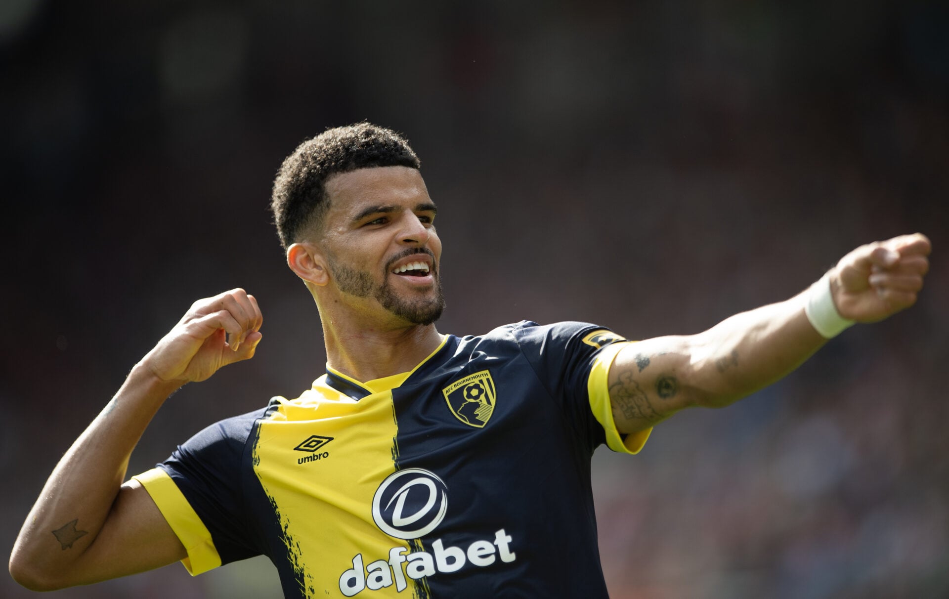 Report: Dominic Solanke is keen on a move to Tottenham Hotspur this ...