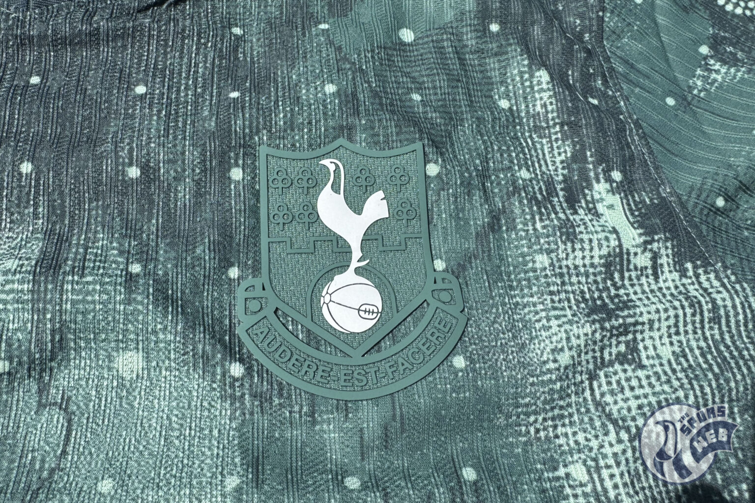 Pundit leaps to the defence of under-fire Tottenham star - Spurs Web