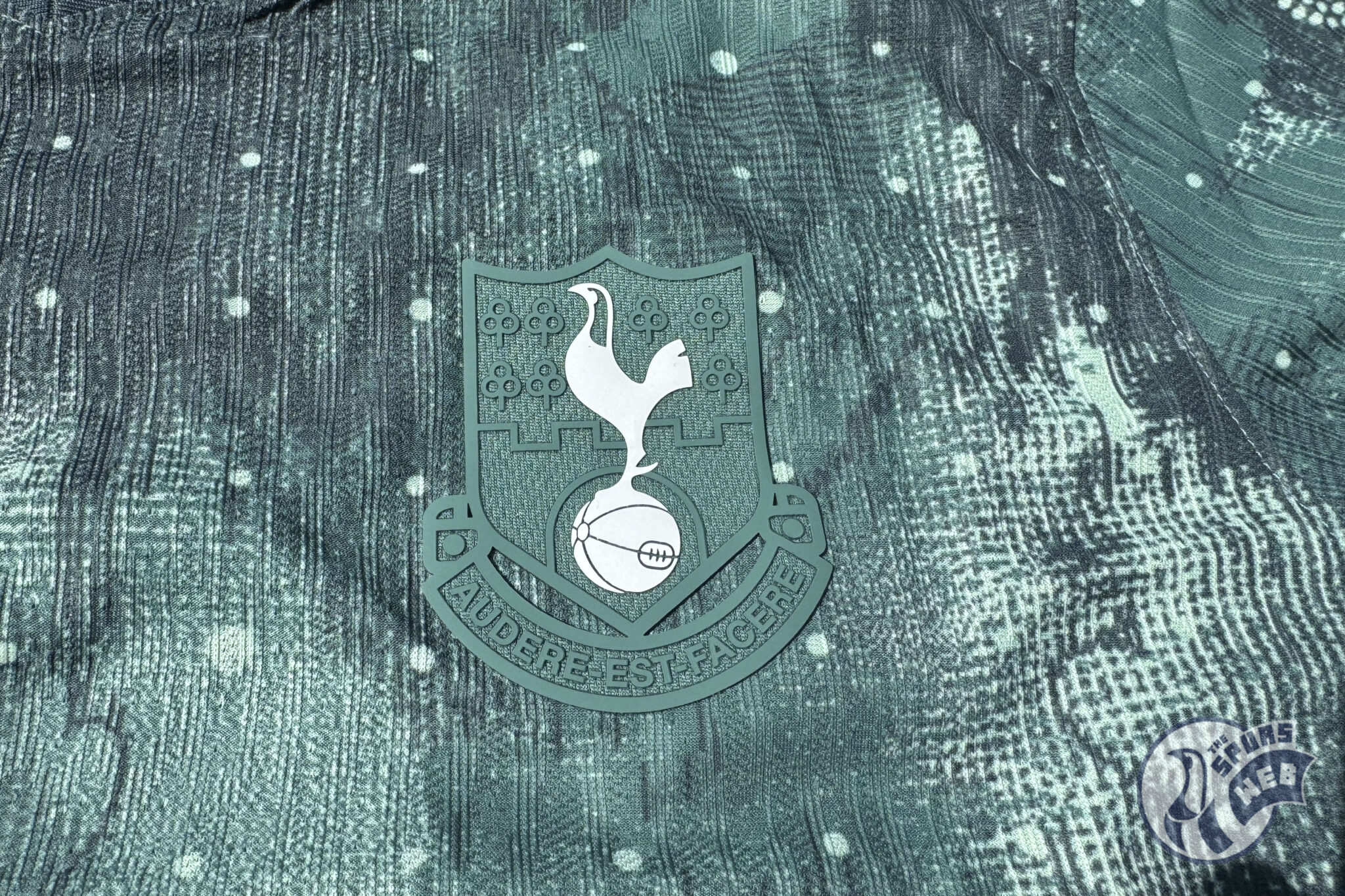 Spurs player does not want to leave in January despite lack of game ...