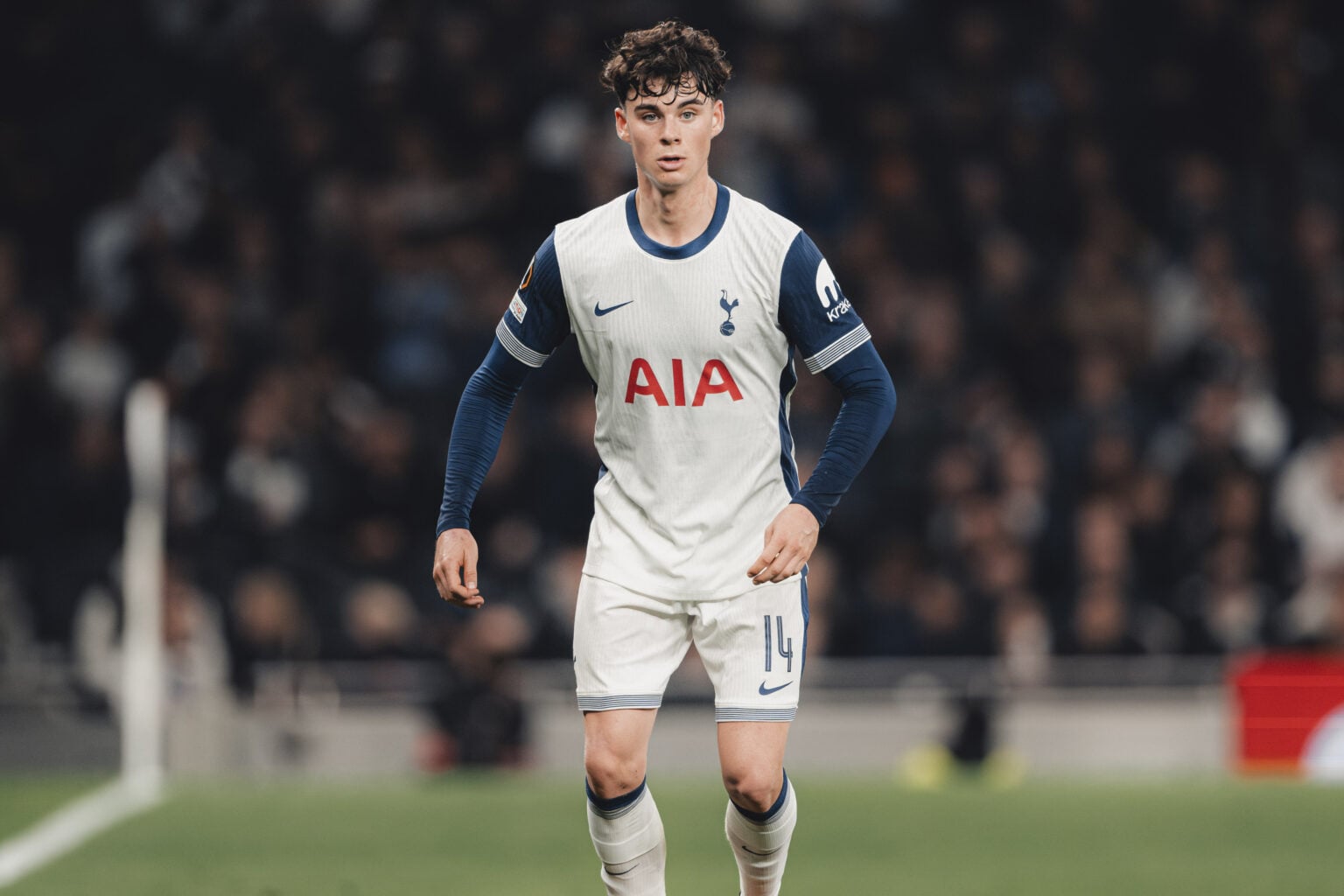 Archie Gray reveals what is particularly 'special' about Ange Postecoglou - Spurs Web