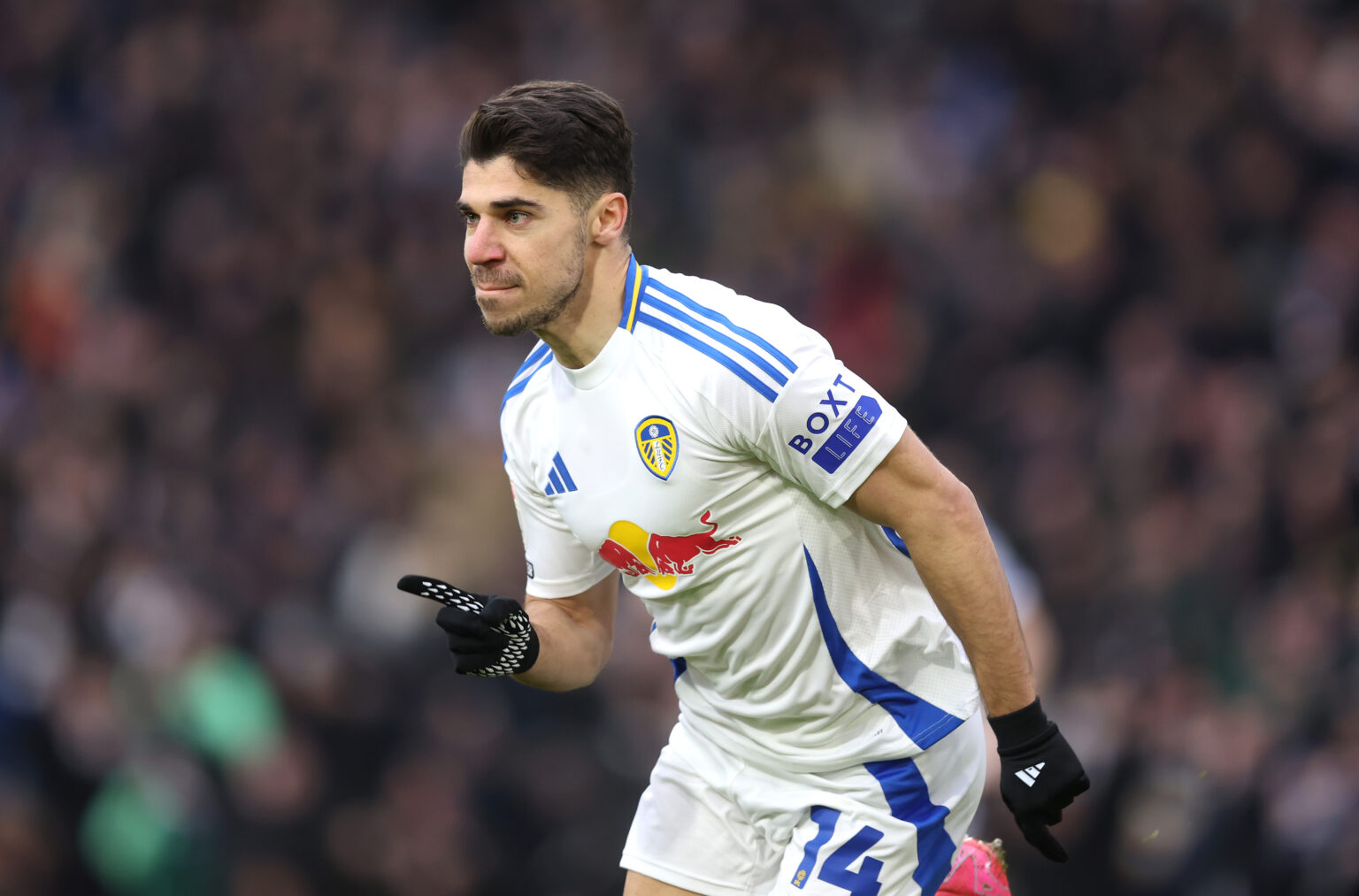 Watch: Tottenham's Manor Solomon scores yet again amid rumoured £20m ...