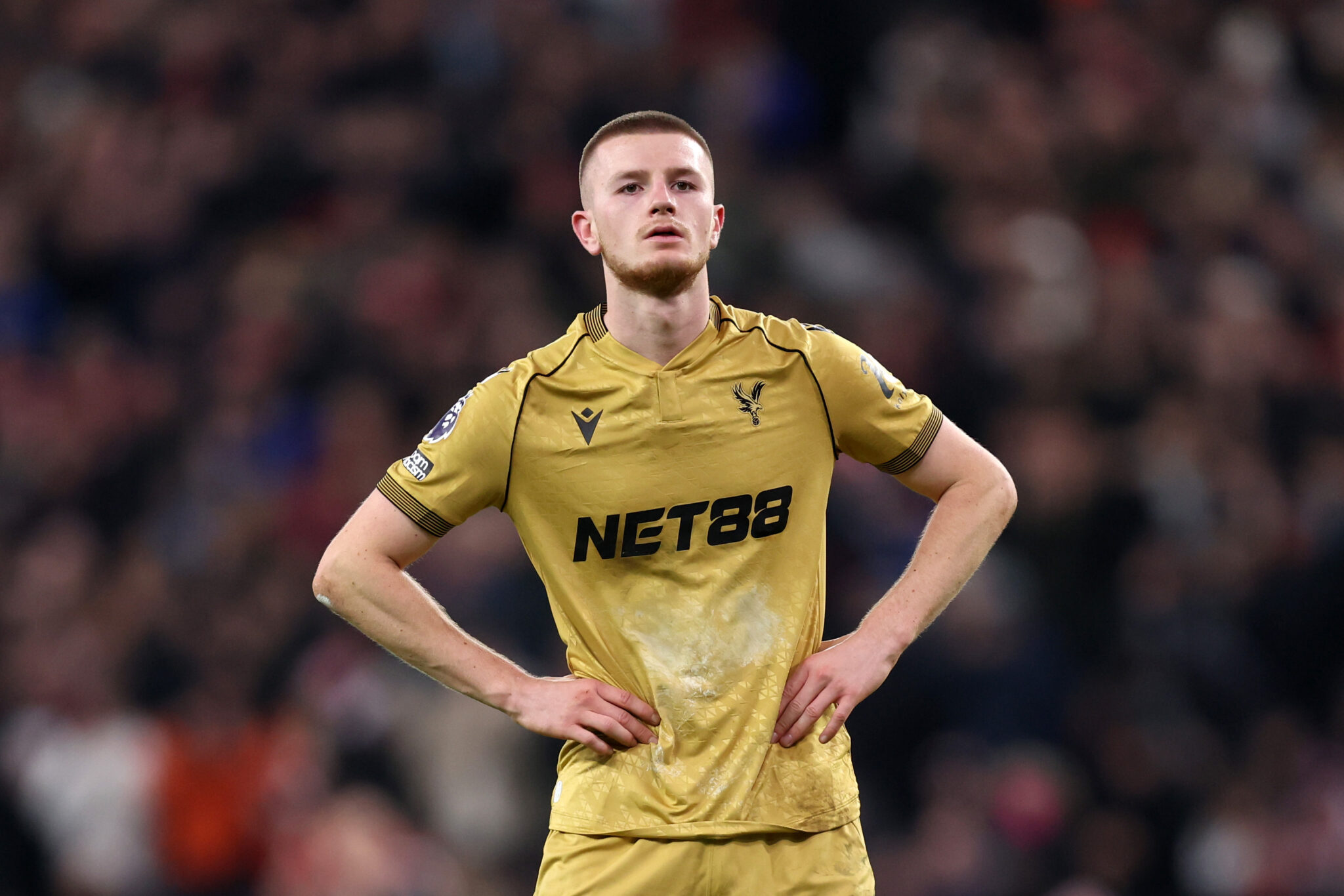 Tottenham's 'dream' midfield signing may be £30m cheaper than first ...