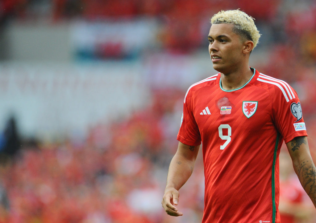 'Excite the fans' - Brennan Johnson gives his first interview as a ...