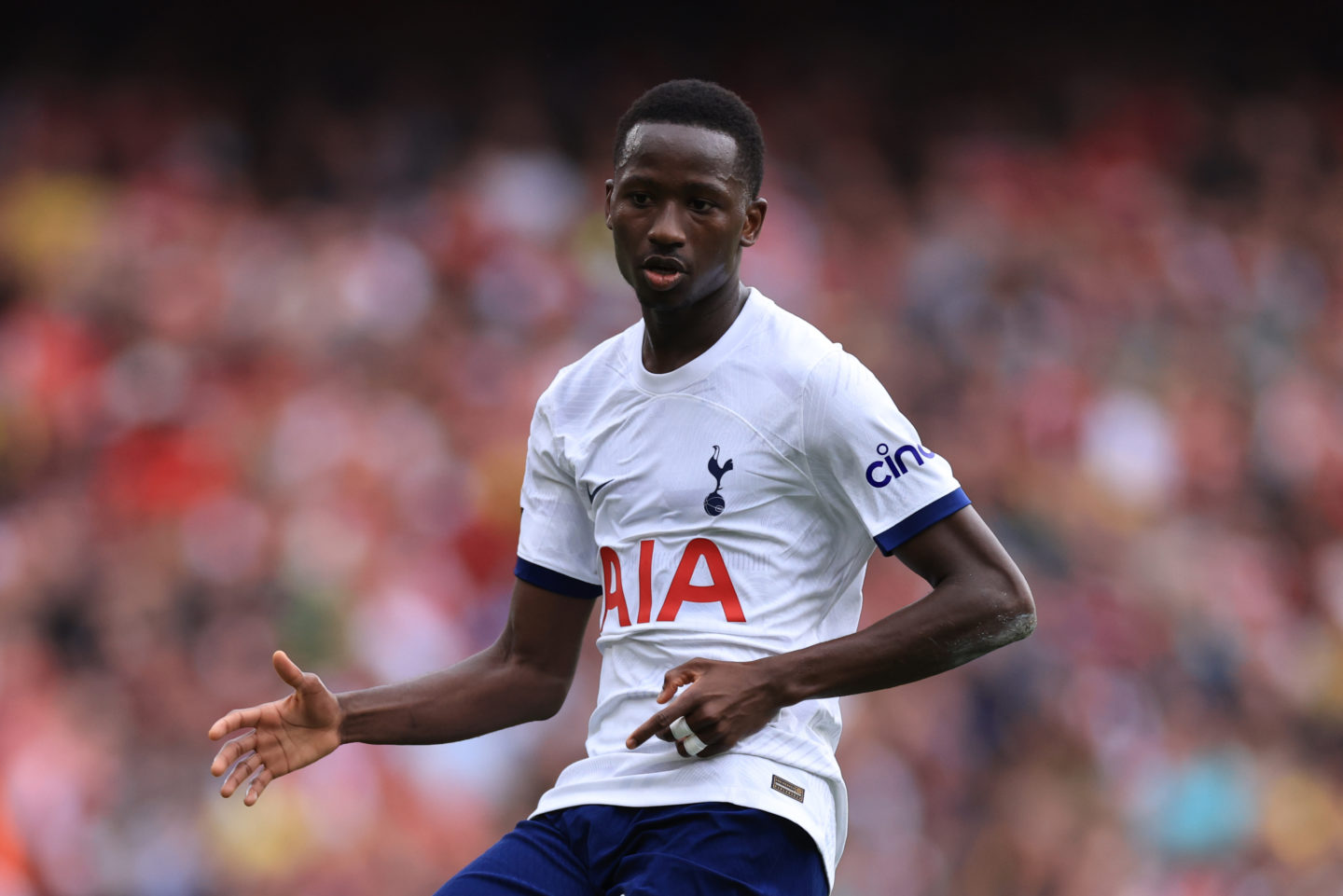 Postecoglou names the four positions Pape Matar Sarr can play for ...